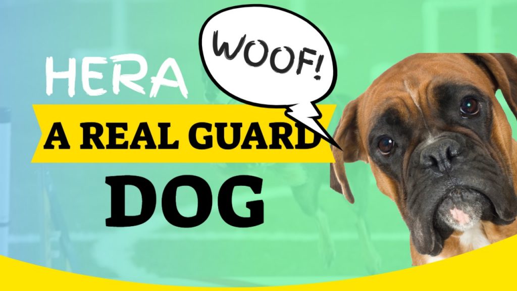 Corporate - Thumbnail Blaster